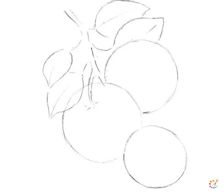 How to draw Orange Step by Step – For Kids & Beginners