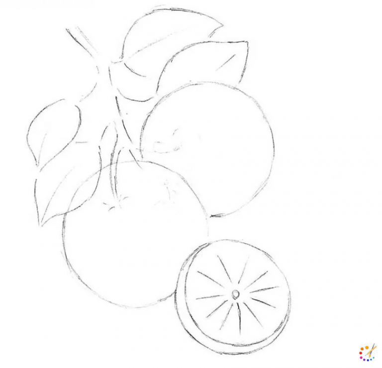 How to draw Orange Step by Step – For Kids & Beginners