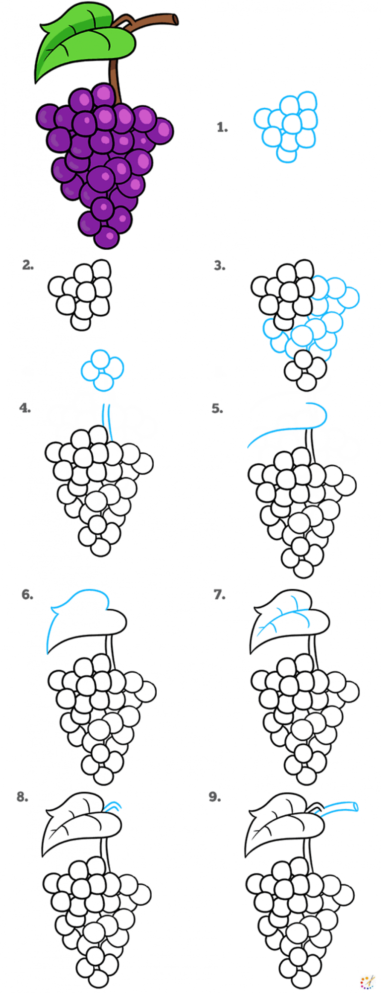 How to Draw Grapes Step by Step – For Kids & Beginners