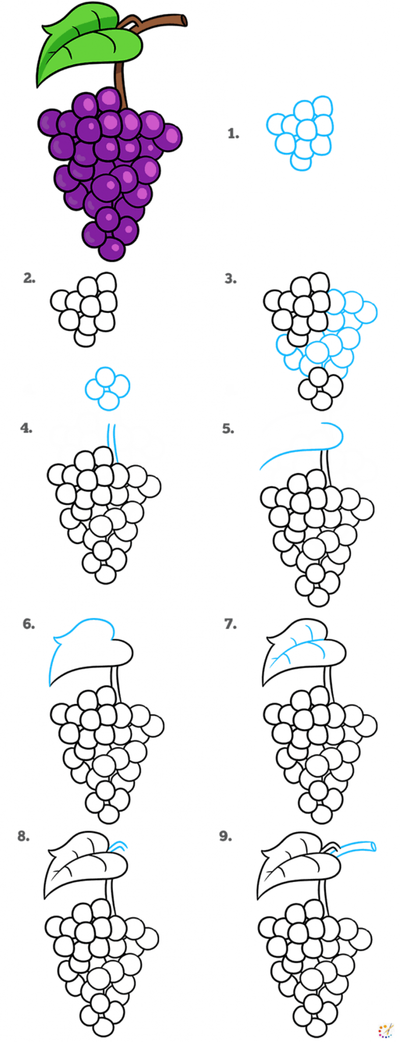 How to Draw Grapes Step by Step – For Kids & Beginners