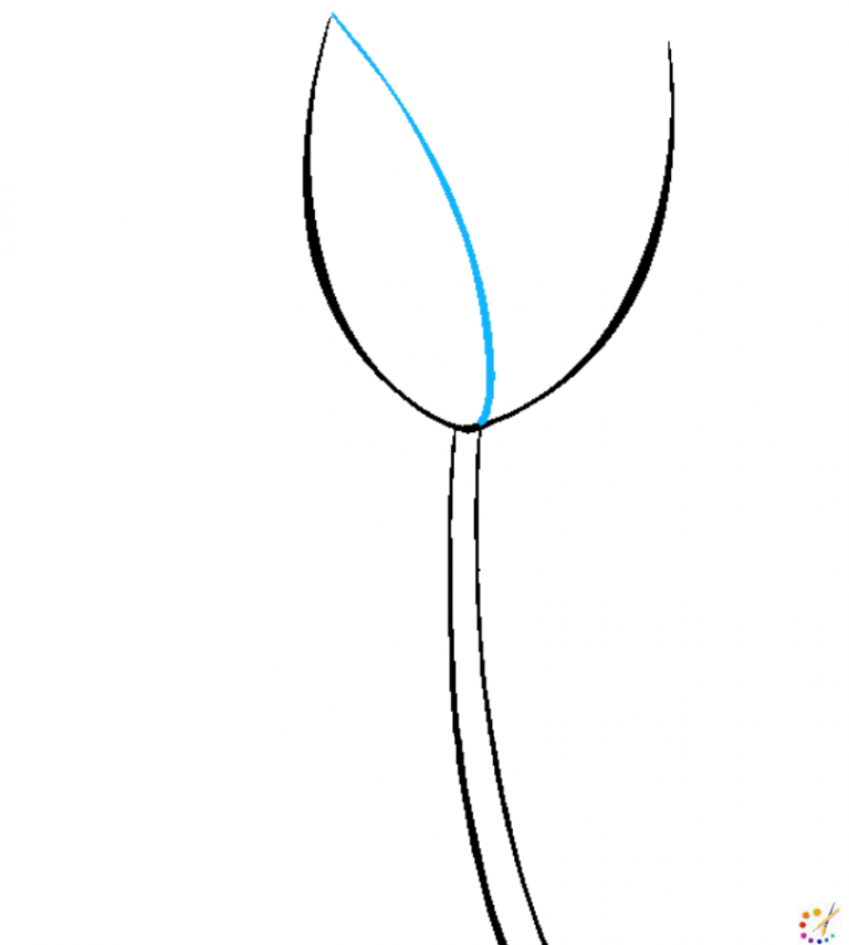 How to Draw a Tulip Step by Step – For Kids & Beginners
