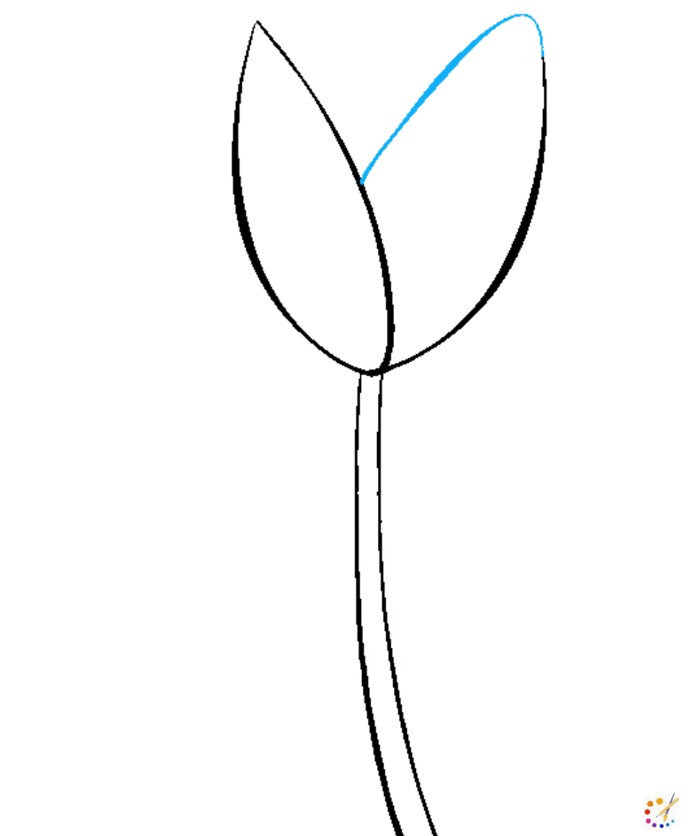 How to Draw a Tulip Step by Step – For Kids & Beginners