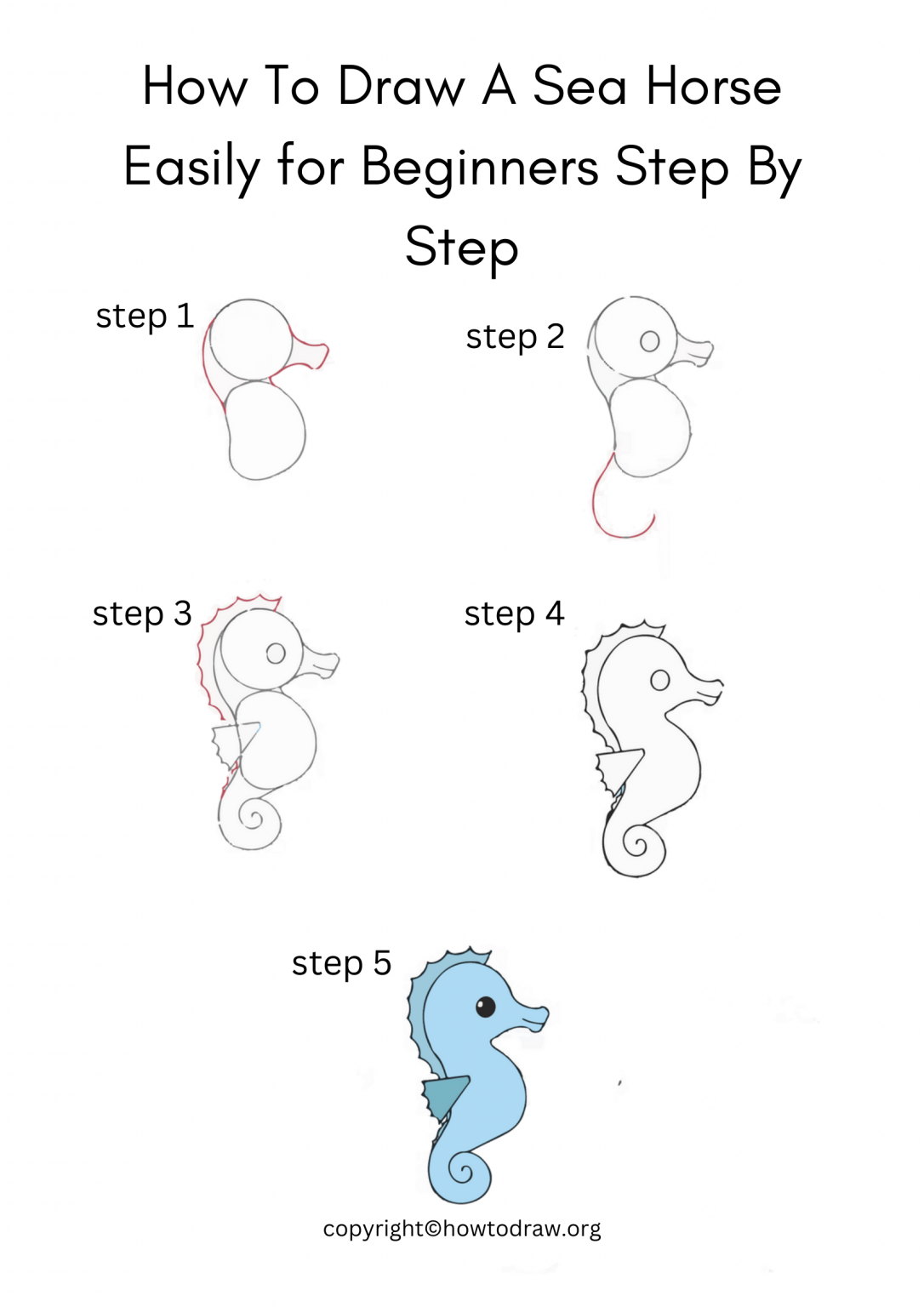 How To Draw A Sea Horse Step By Step – For Kids & Beginners