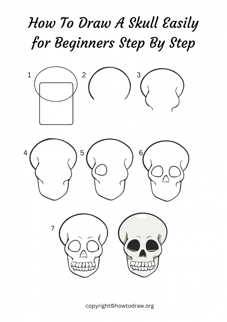 How To Draw Skull Step By Step – For Kids & Beginners