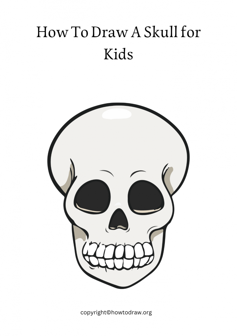 How To Draw Skull Step By Step – For Kids & Beginners