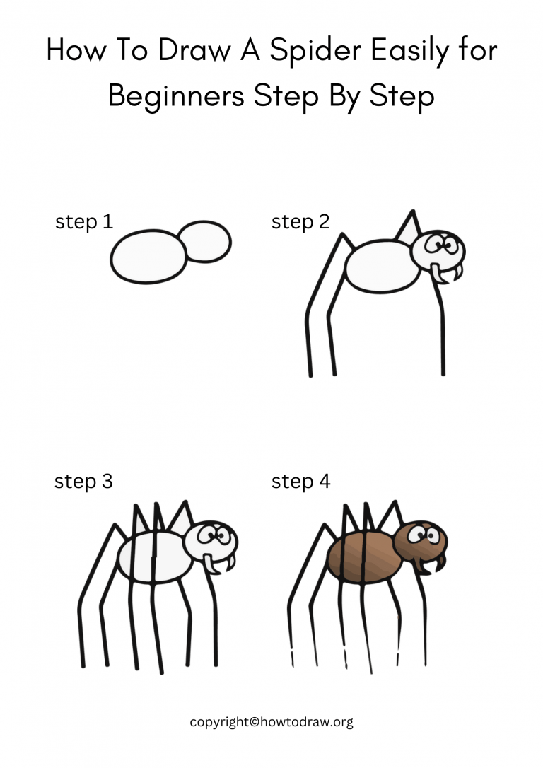 How To Draw A Spider Step By Step – For Kids & Beginners