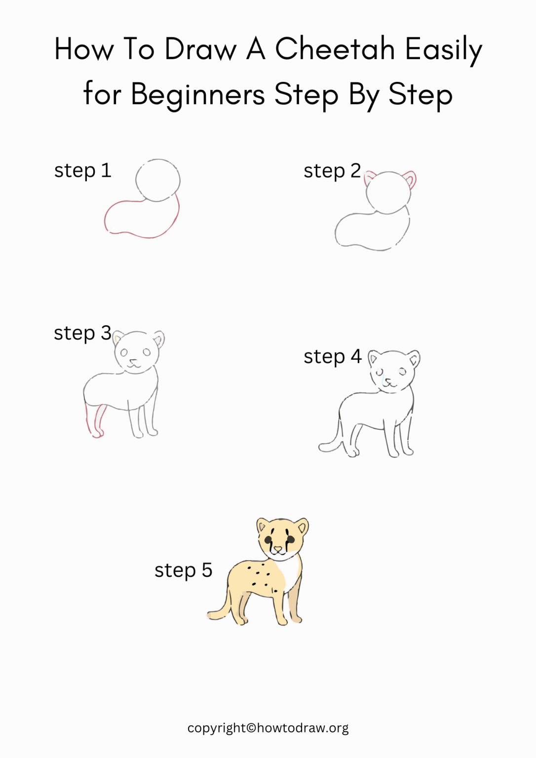 How To Draw A Cheetah Step By Step – For Kids & Beginners
