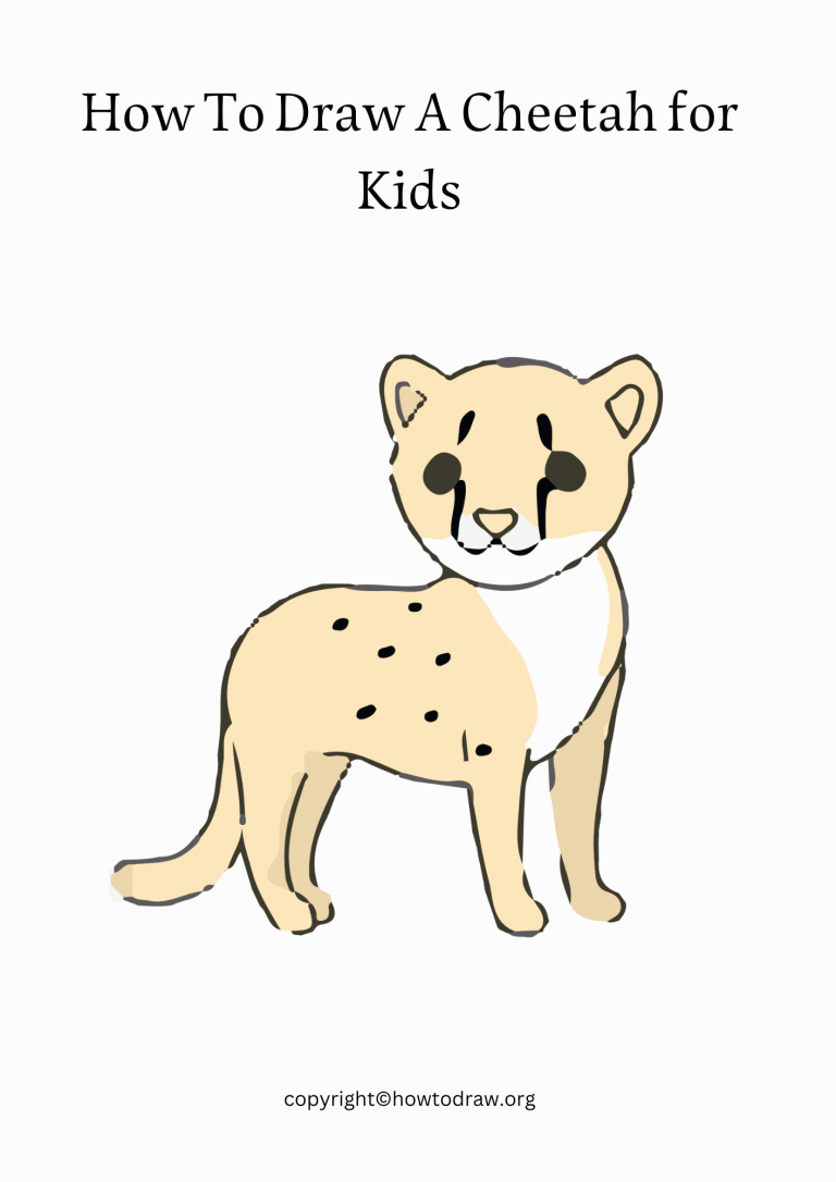 How To Draw A Cheetah Step By Step – For Kids & Beginners