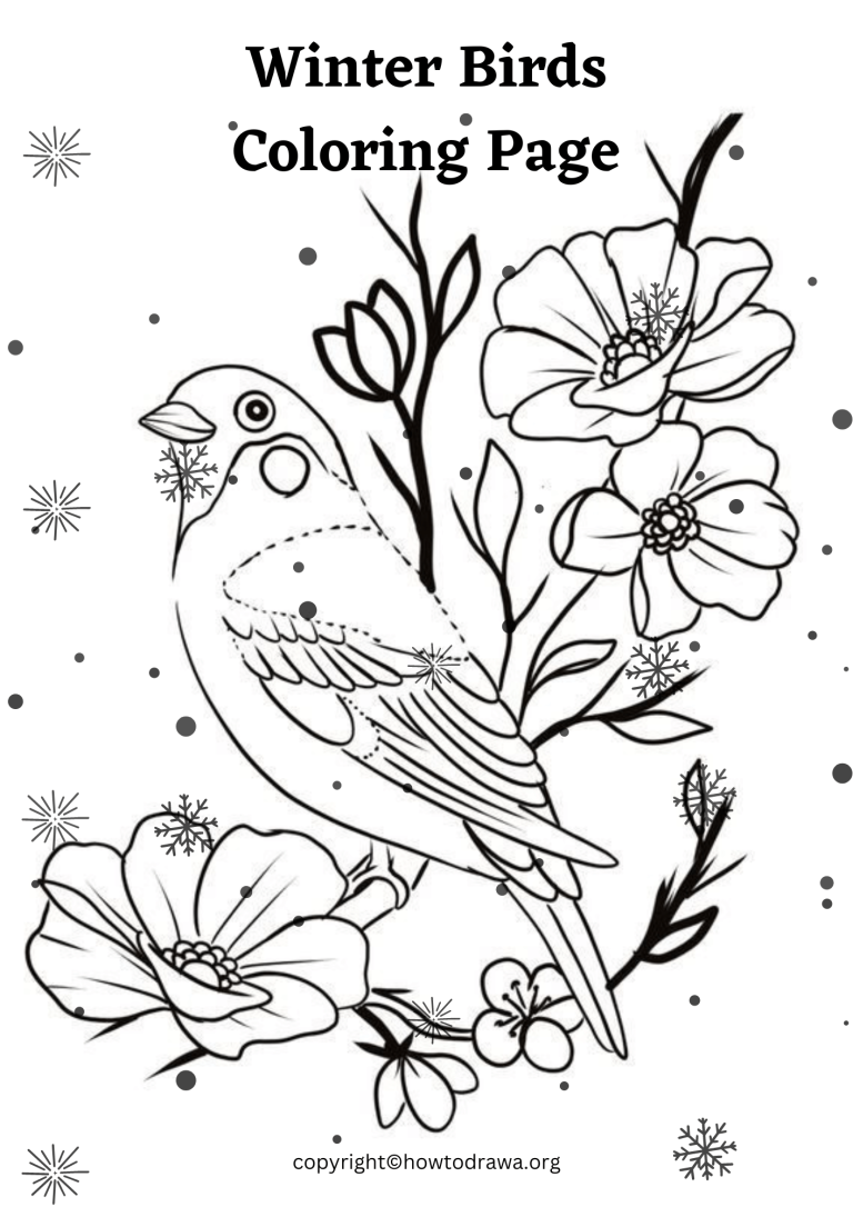 Winter Birds Coloring Page for Kids [Free Printable]