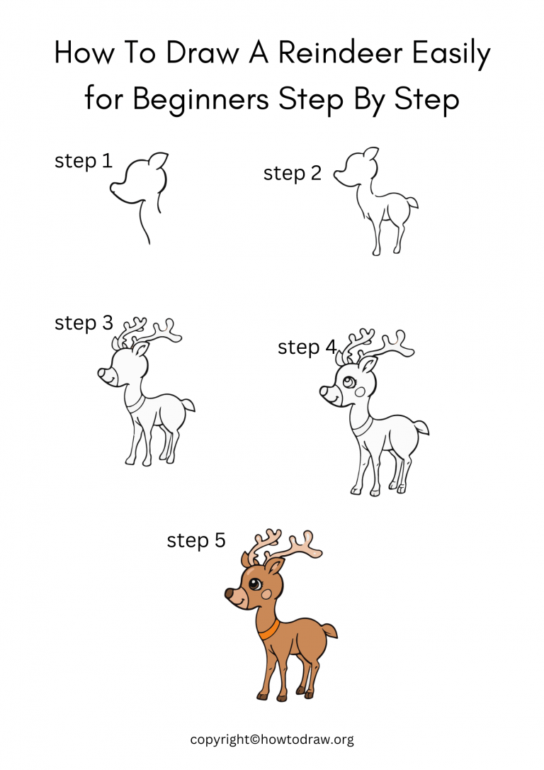How To Draw A Reindeer Step By Step – For Kids & Beginners