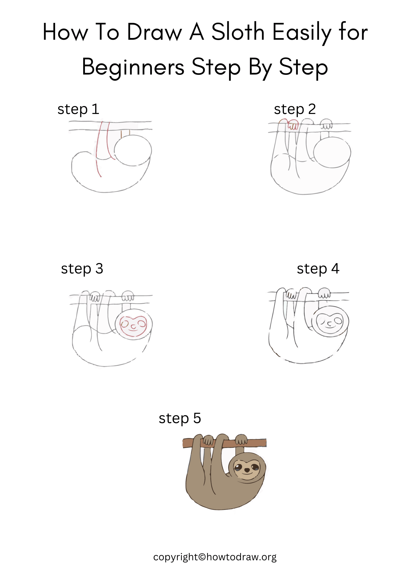 How To Draw A Sloth Step By Step – For Kids & Beginners