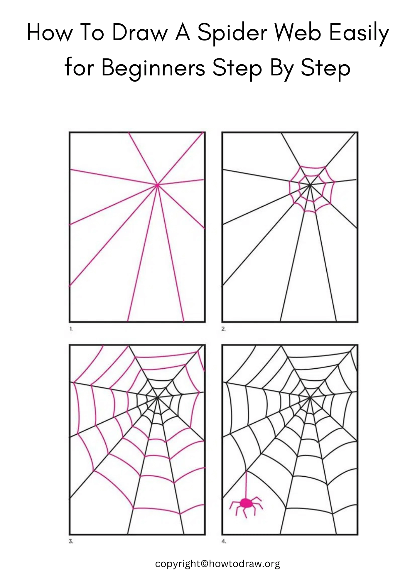 How To Draw A Spider Web Step By Step – For Kids & Beginners