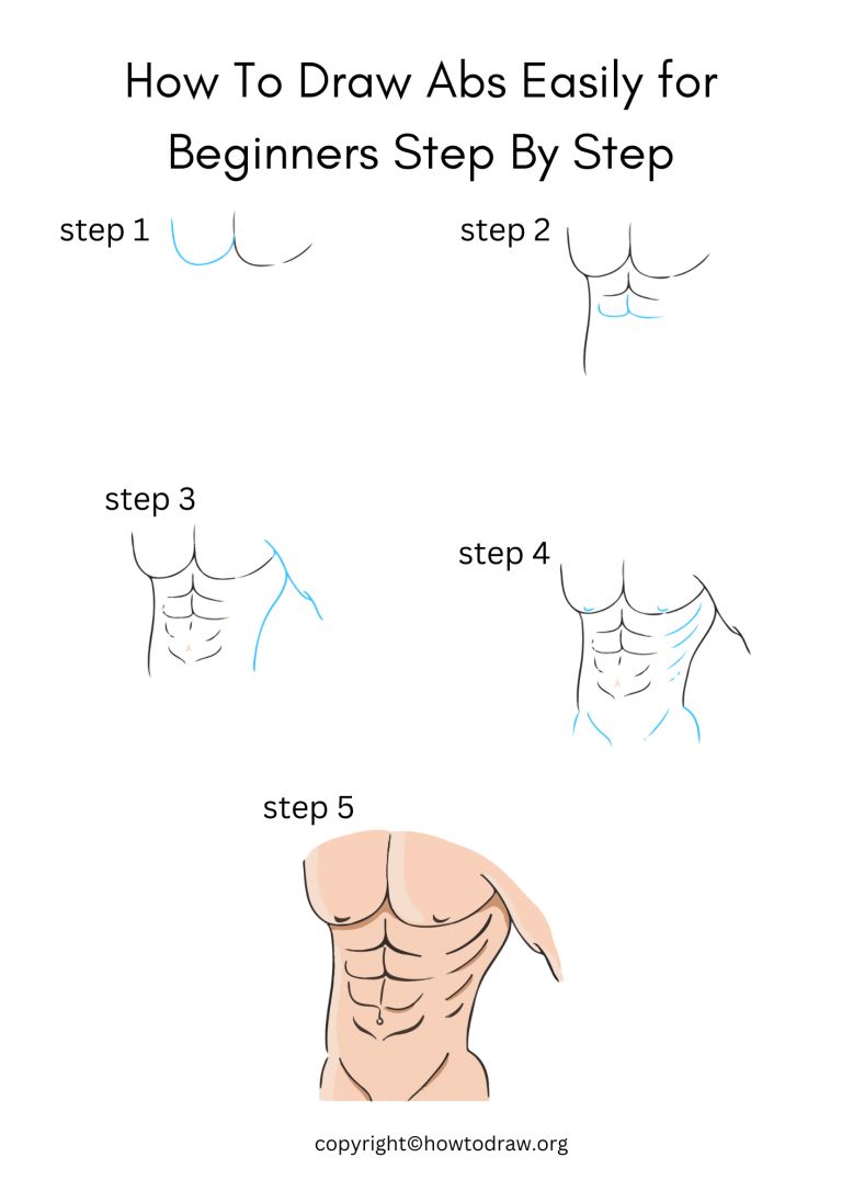 How To Draw Abs Step By Step – For Kids & Beginners