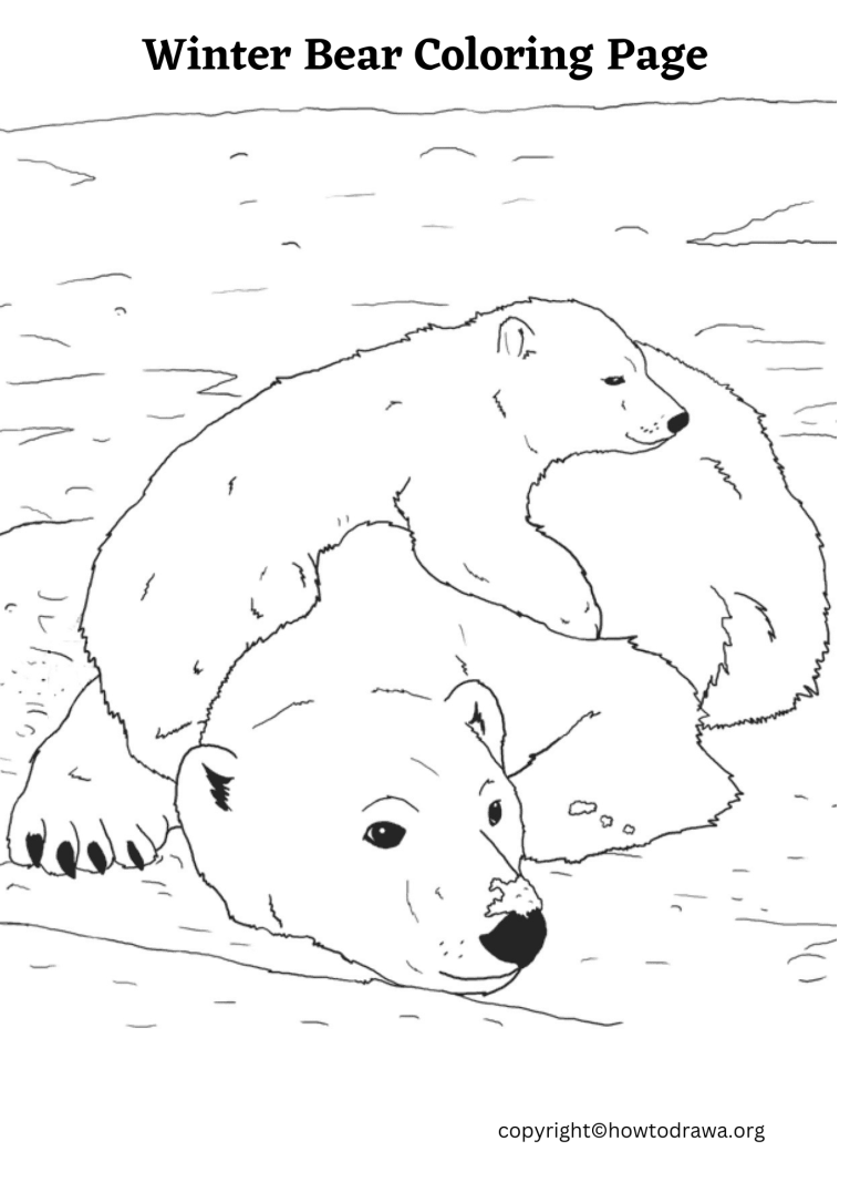 Winter Bear Coloring Page for Kids [Free Printable]