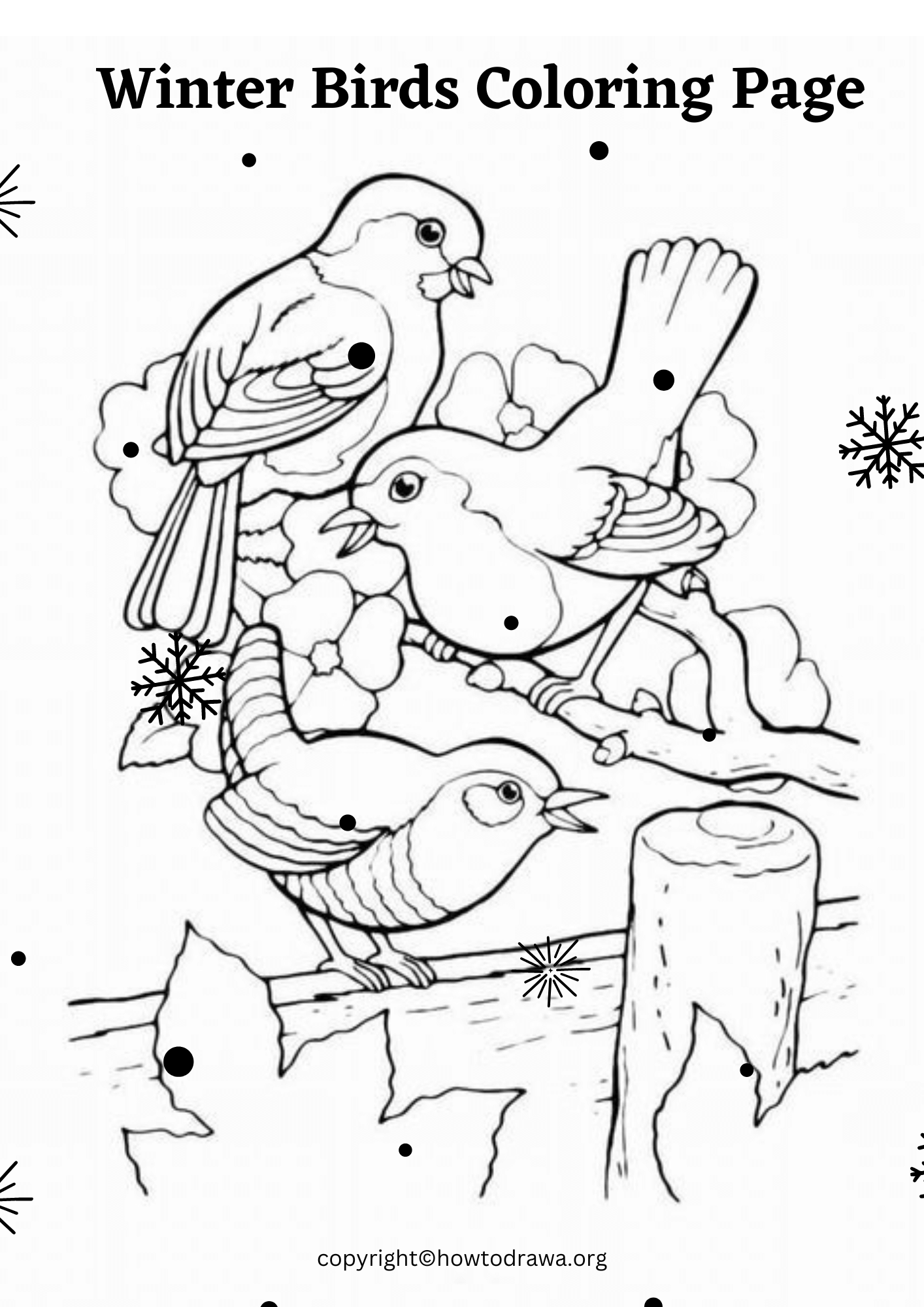 Winter Birds Coloring Page for Kids [Free Printable]