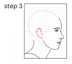 How To Draw A Side Profile Step By Step – For Kids & Beginners