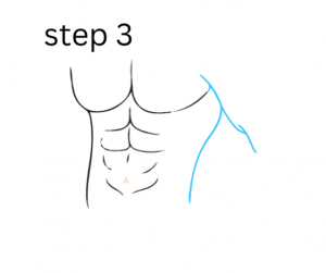 How To Draw Abs Step By Step – For Kids & Beginners