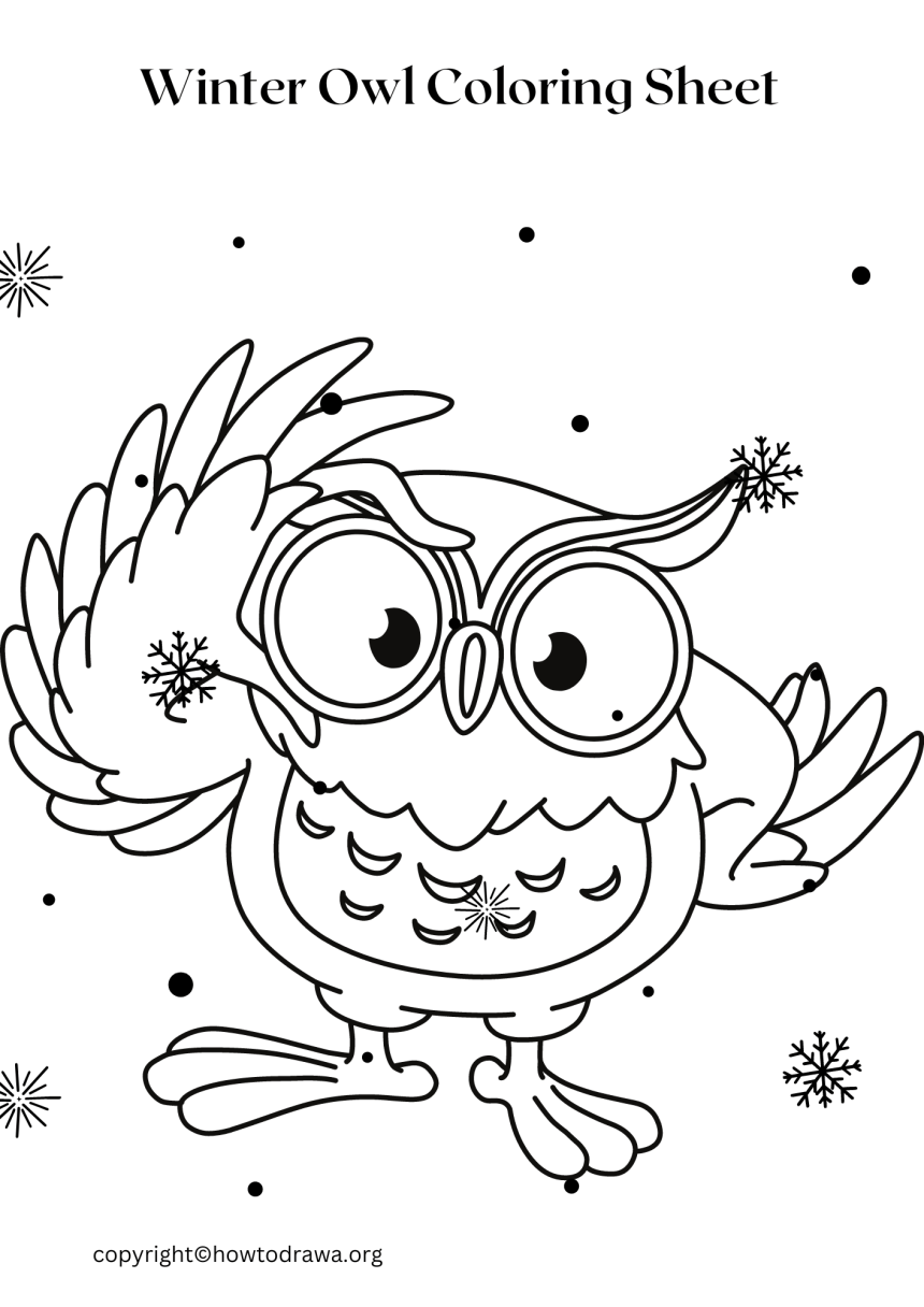 Winter Owl Coloring Sheet for Kids [Free Printable]