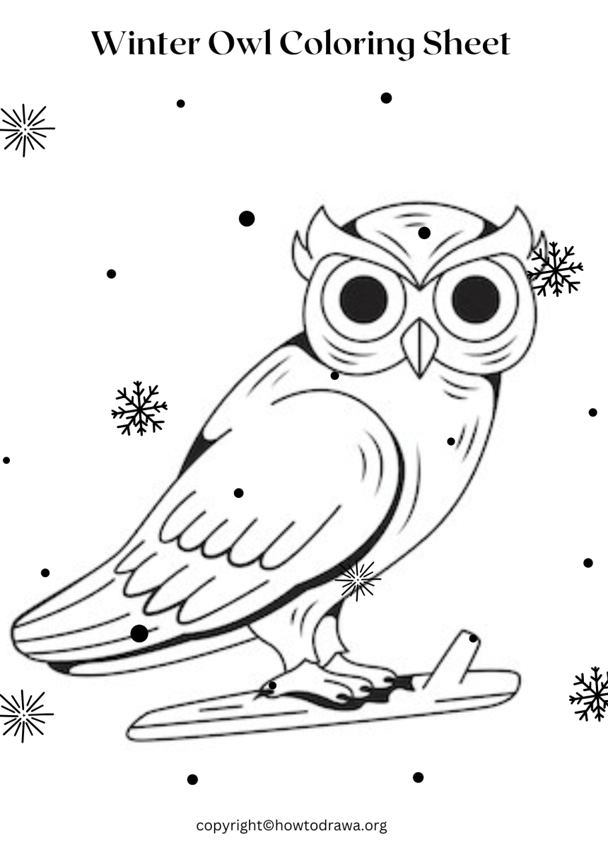 Winter Owl Coloring Sheet for Kids [Free Printable]
