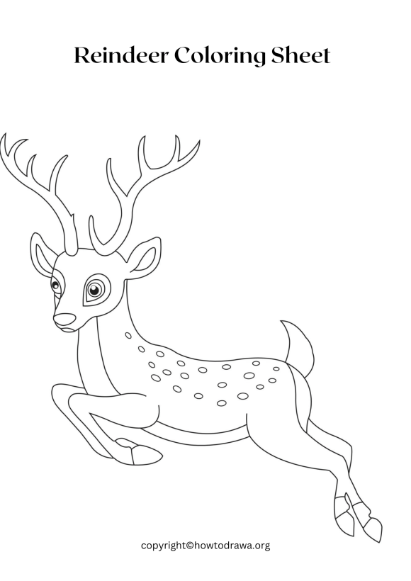 Reindeer Coloring Sheet for Kids [Free Printable]